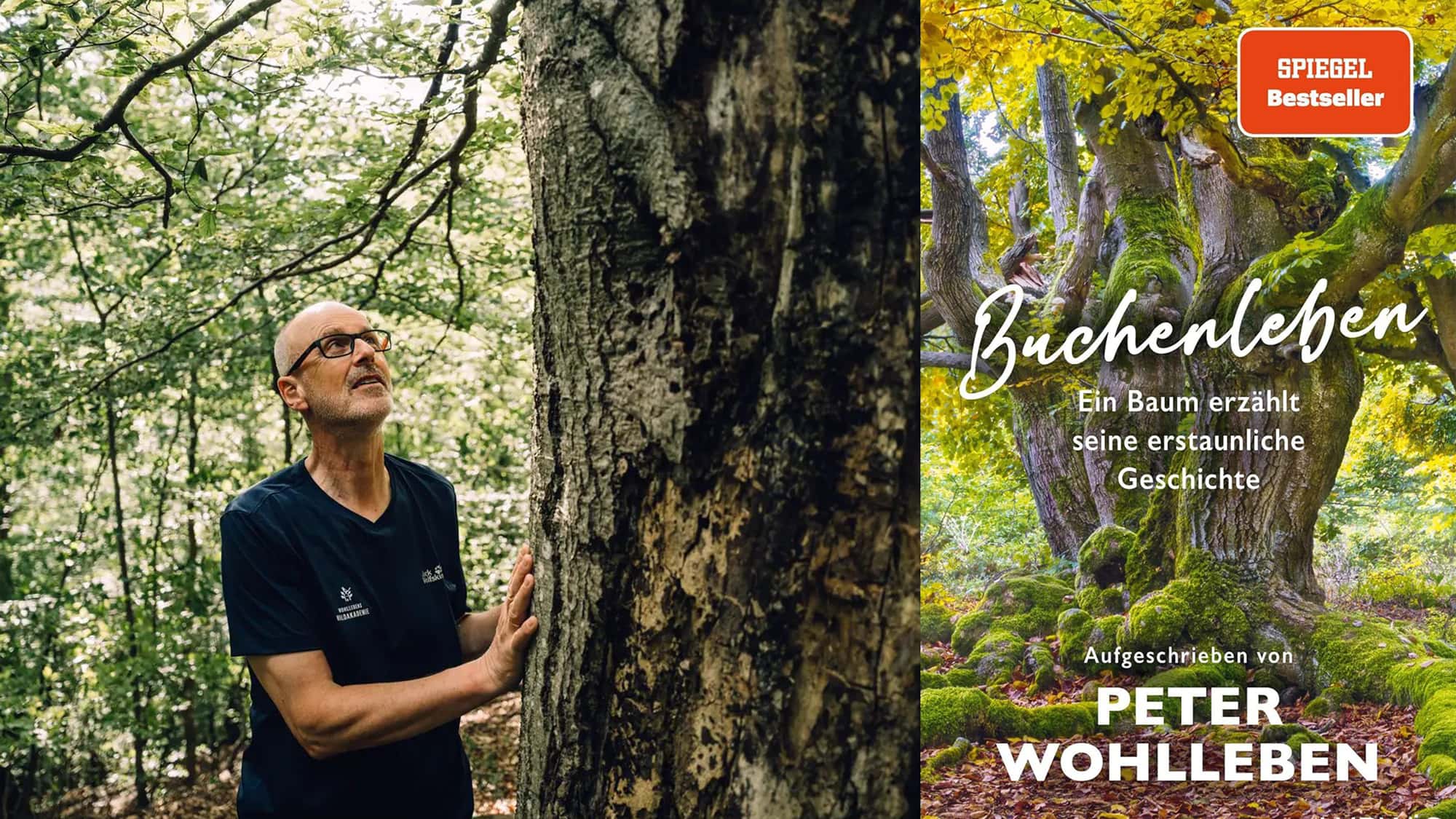 Peter Wohlleben über sein neues Buch: "Buchenleben"
