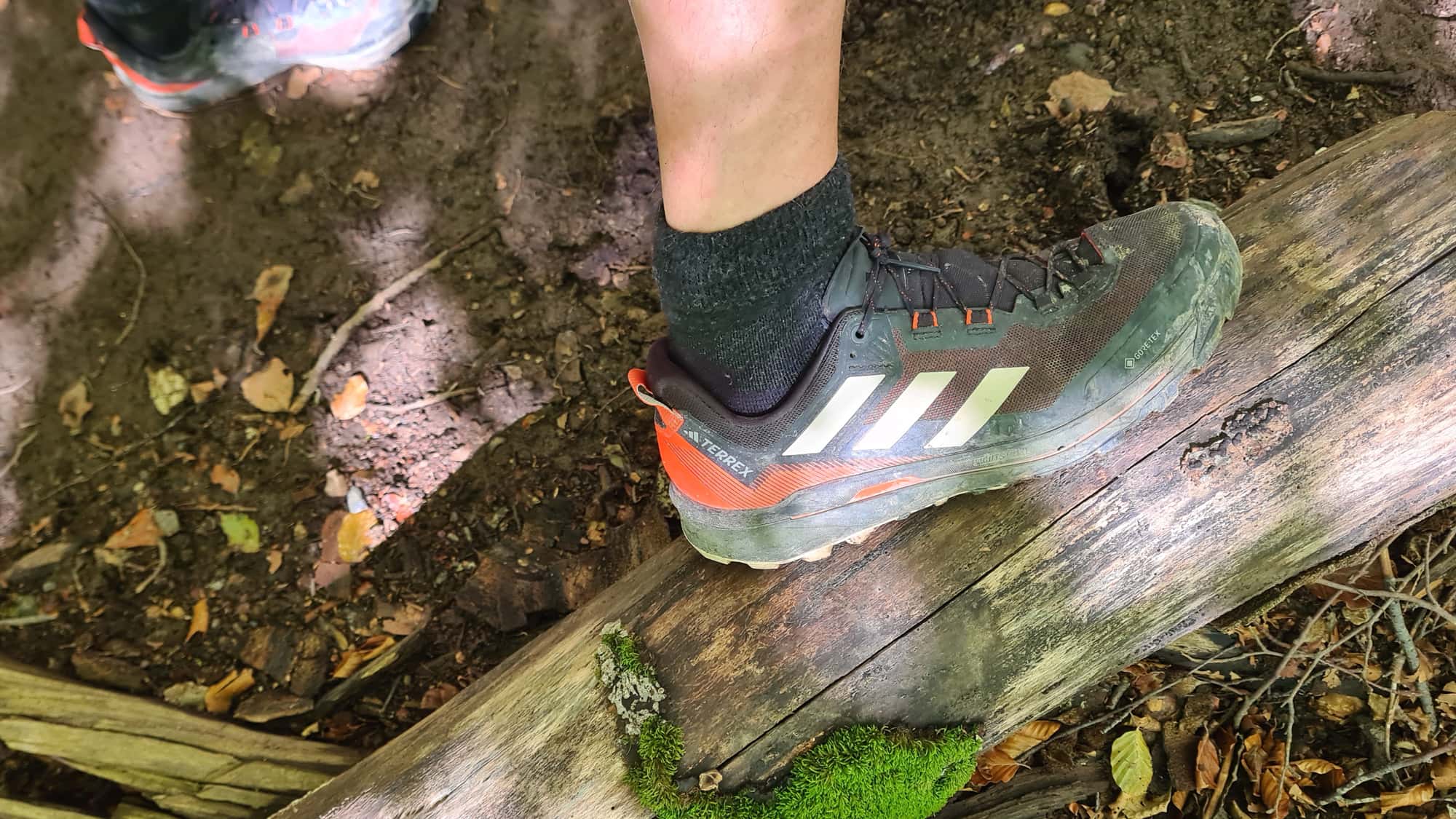 Adidas Terrex Skychaser Tech Gore-Tex im Test
